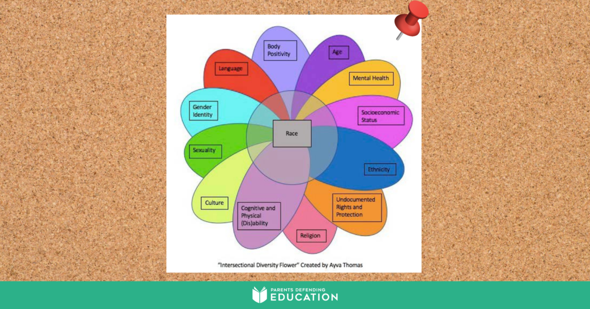 Northshore School District uses "Intersectional Diversity Flower" to ...