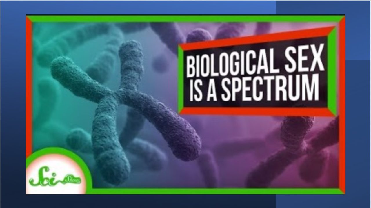 Junior high teacher in-service claims biological sex is a spectrum ...